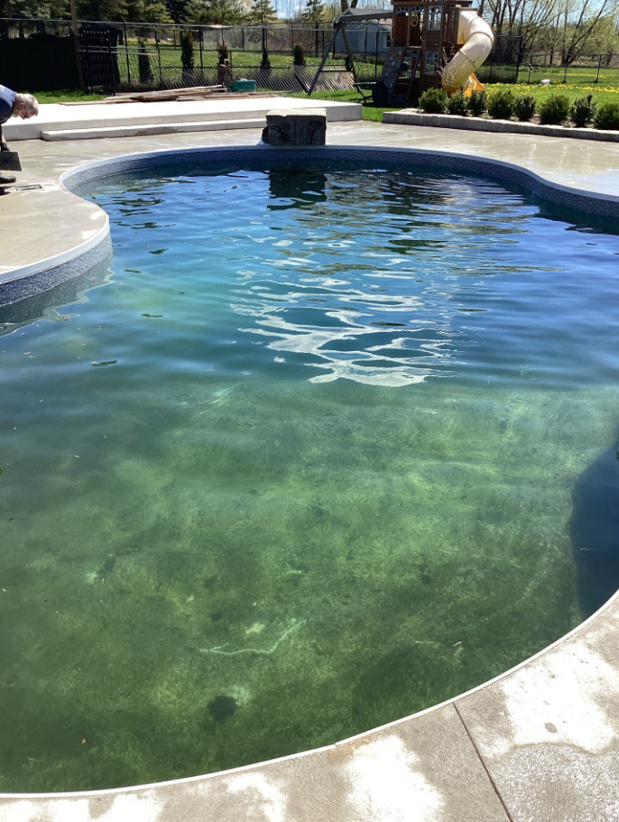 Green Pools When Removing A Safety Cover - Pool Craft